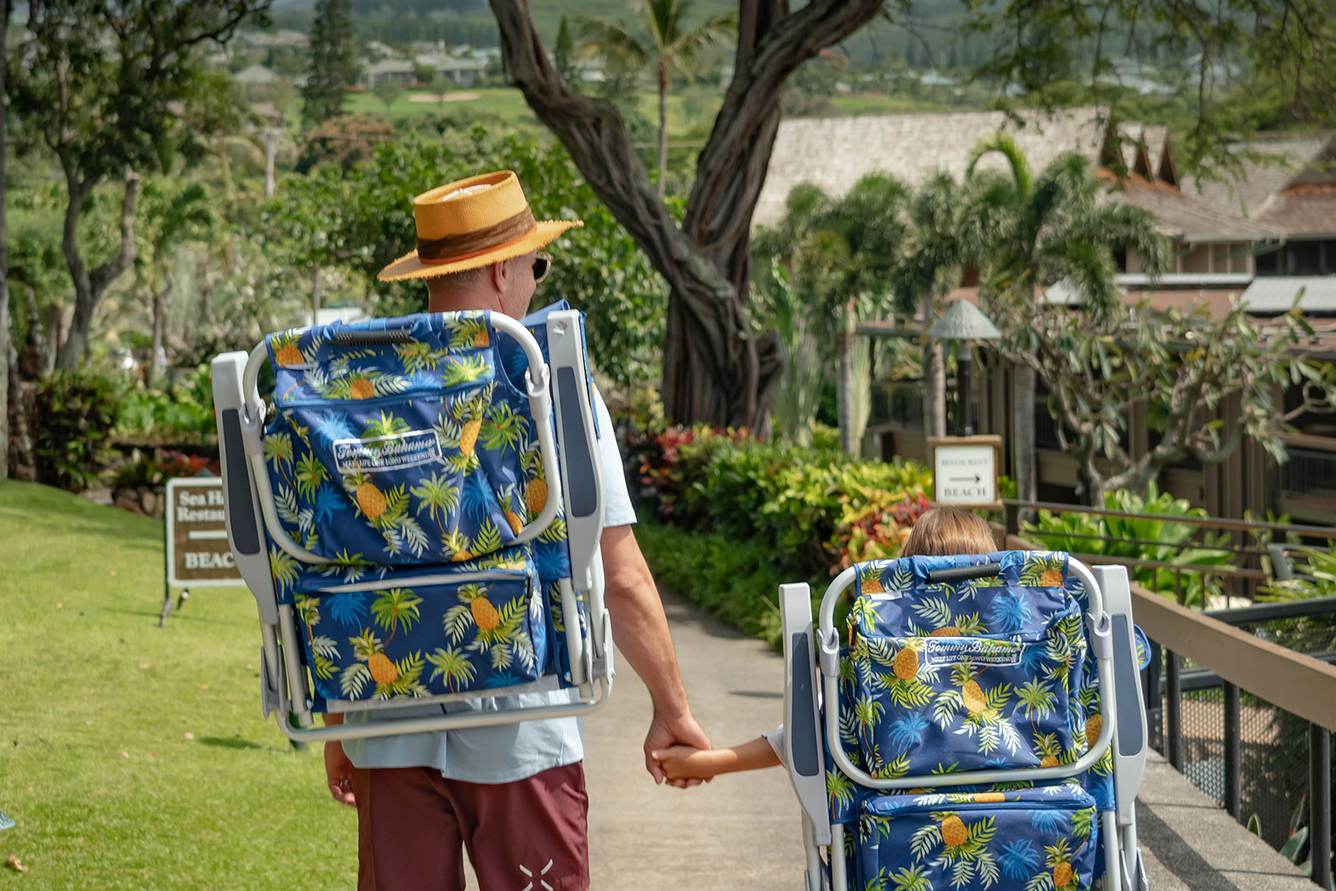 Experience | Napili Kai Beach Resort